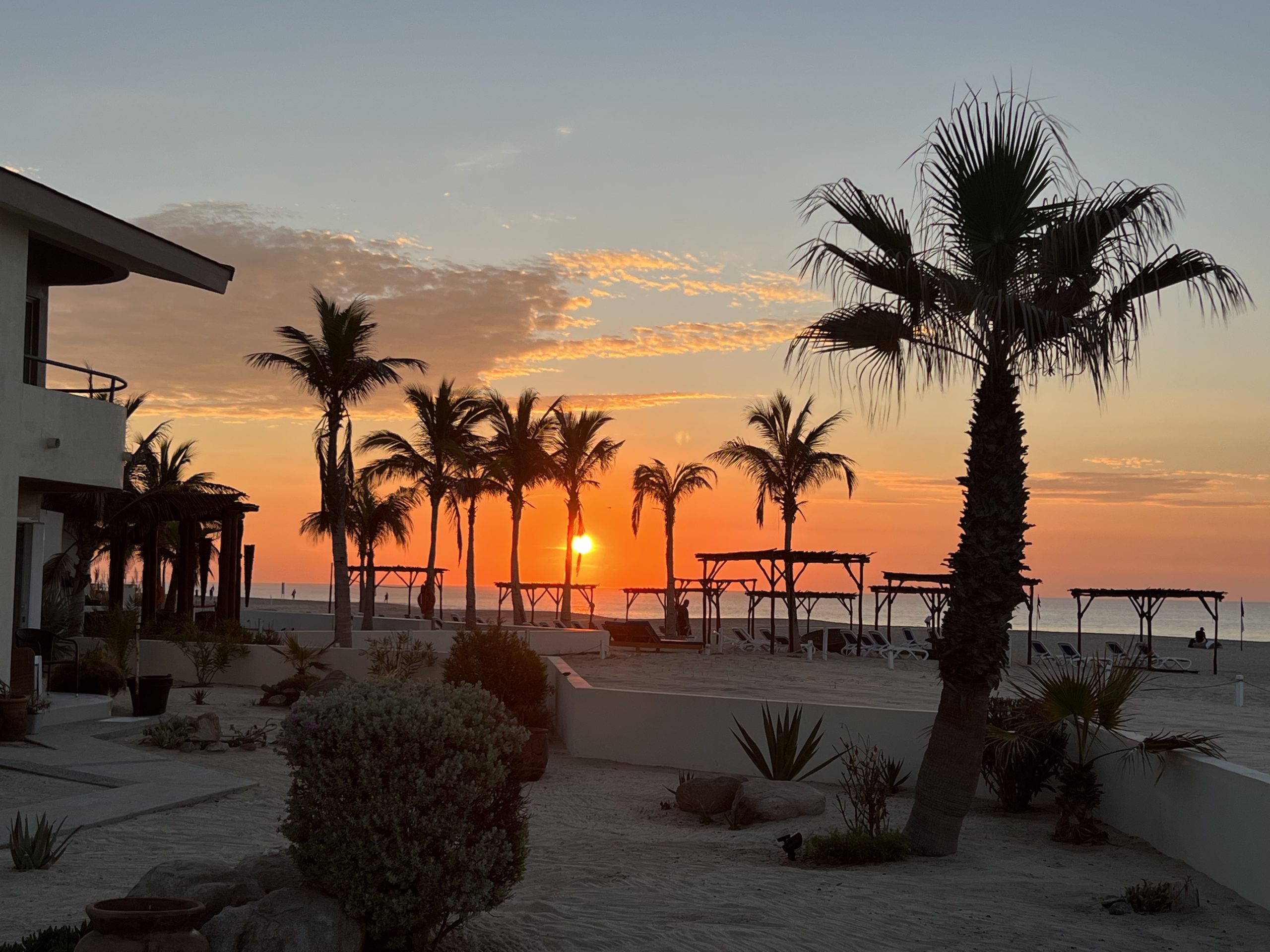 A Day in a Viva Condo: Live, Work, Relax - VivaCondominium.com